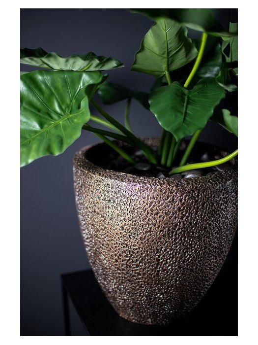 fleur ami Ø41x41cm vazonas Coral 41, bronze patina | Išskirtinio ...